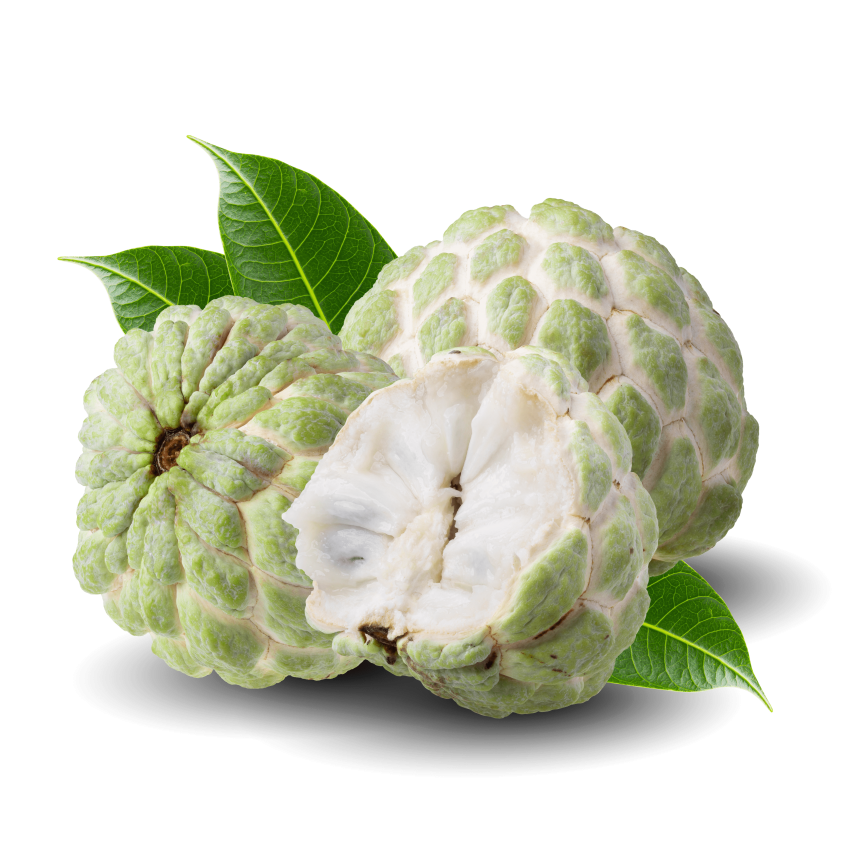 SUGAR APPLE - Tropical fruit Florida